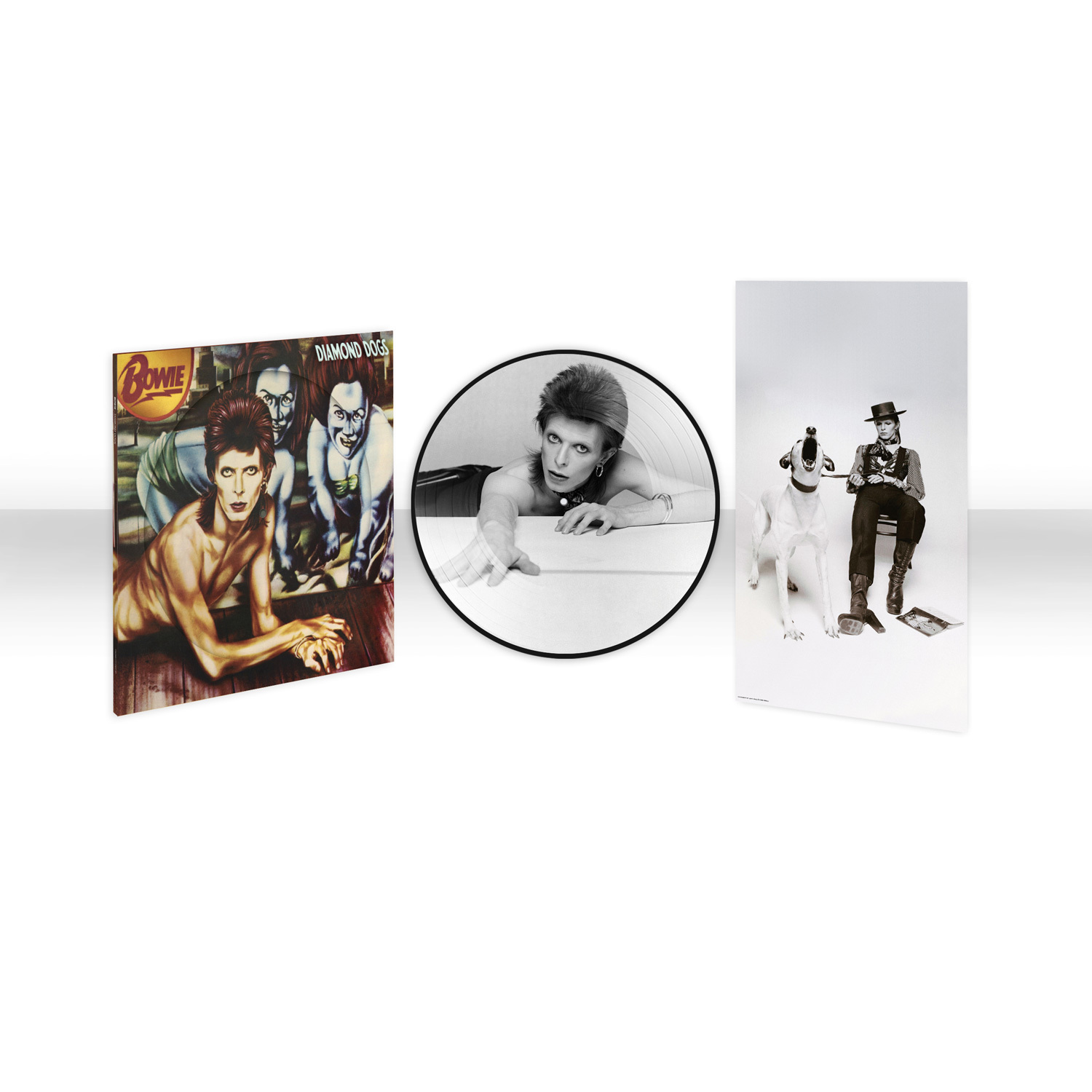 Diamond Dogs 50th Anniversary (1LP Picture Disc) | Dig! Store